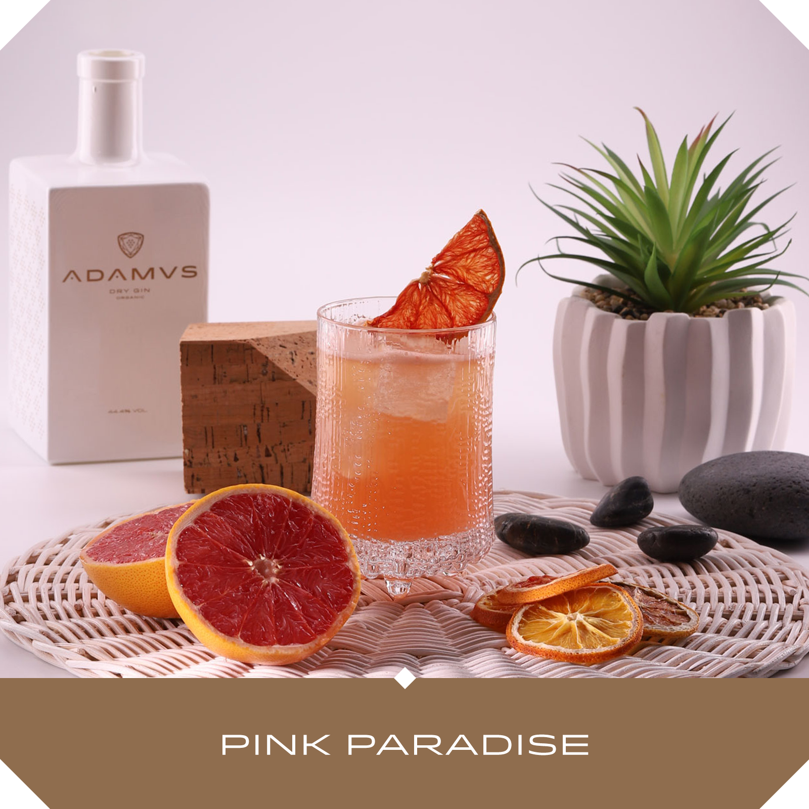 Pink Paradise – ADAMUS