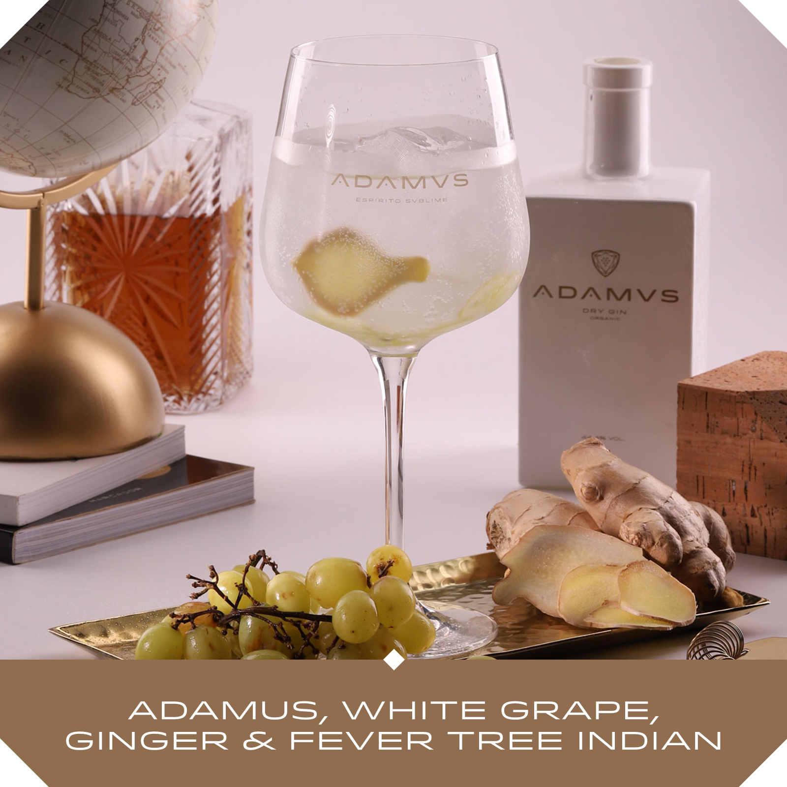 Adamus, White Grape, Ginger & Fever Tree Indian – ADAMUS