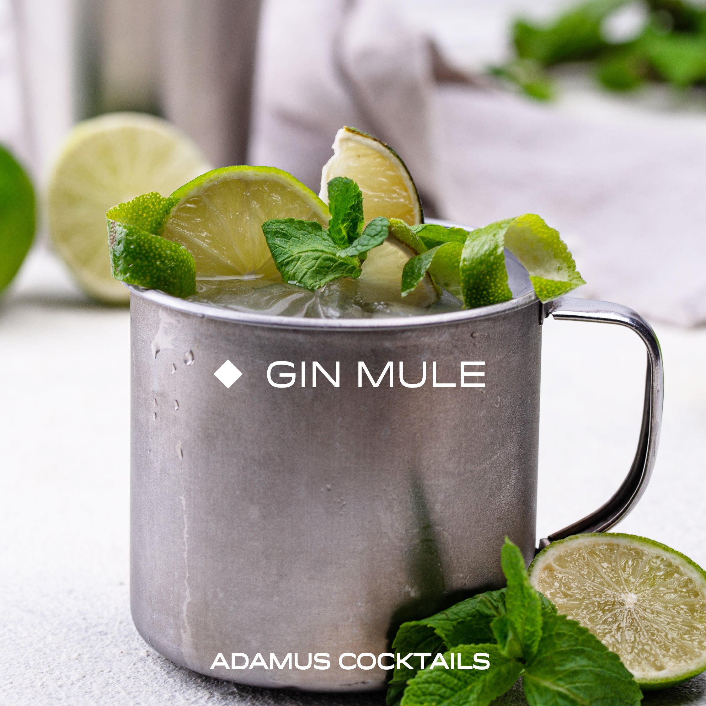 Adamus Gin Mule Cocktail - Learn the recipe for this cocktail – ADAMUS